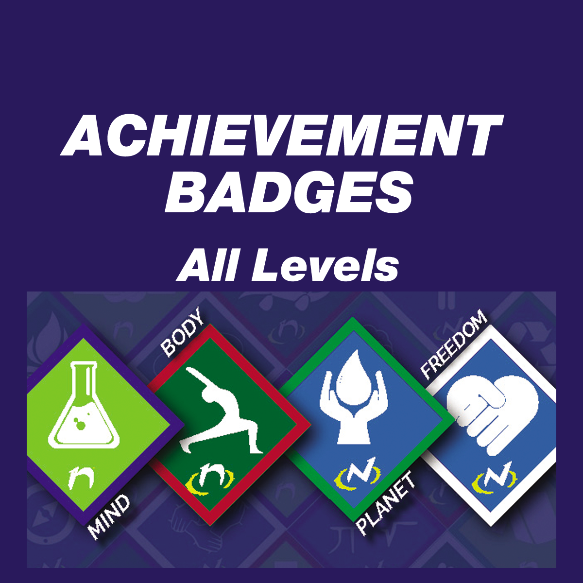 Scouting Badges | Navigators USA